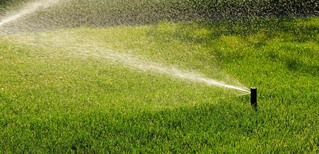 Watering Tips for New Sod | Sota Enterprises LLC